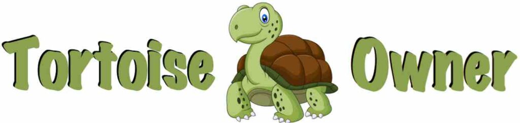 Are Tortoises Aggressive? Recognizing Aggression (with Checklist ...